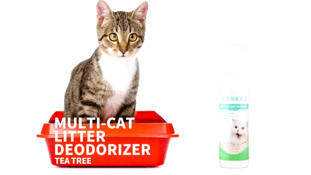 What Is Cat Litter Deodorizer What Is Cat Litter Deodorizer