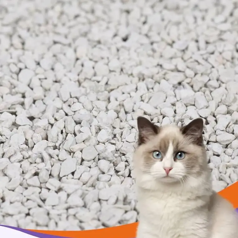 Which Mineral is Used for Cat Litter?